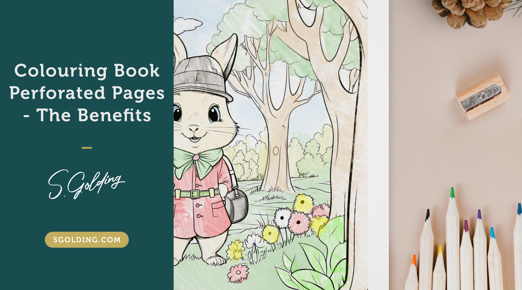The Benefits of Perforated Pages in Colouring Books – S.Golding