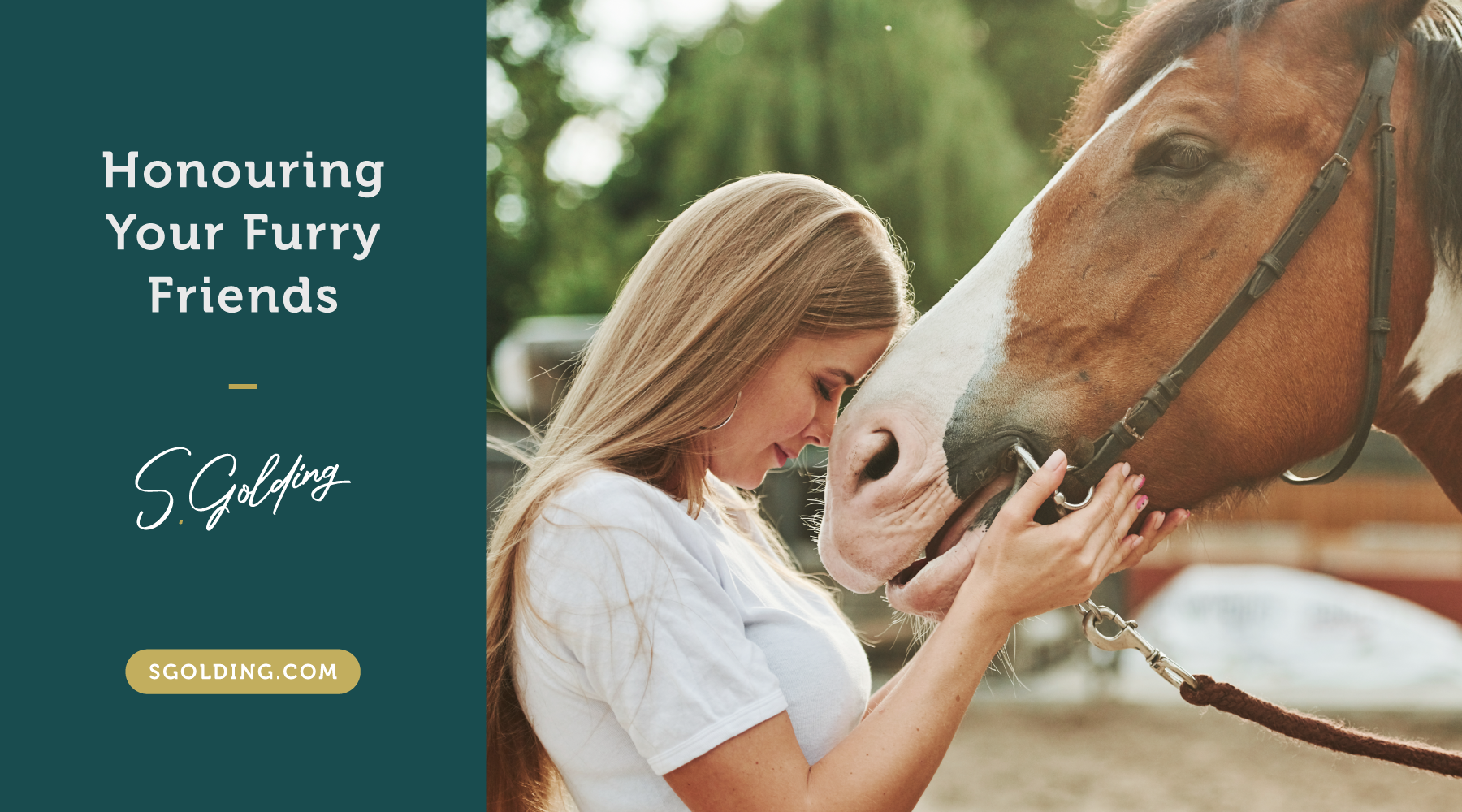 How Pet Portraits Can Honour Your Furry Friends – S.Golding